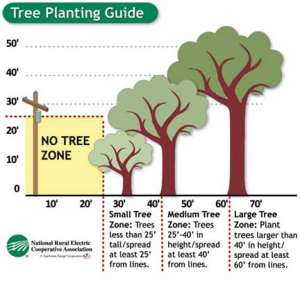 Plan ahead when landscaping and planting trees – Dakota Electric ...