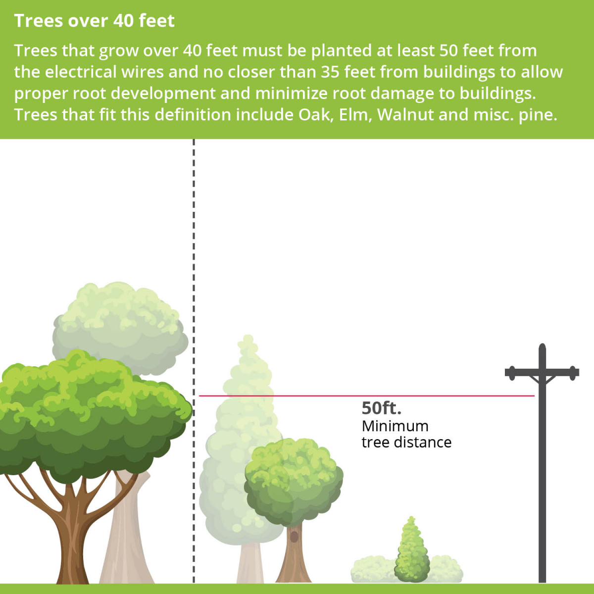 Trimming and Planting – Dakota Electric Association®
