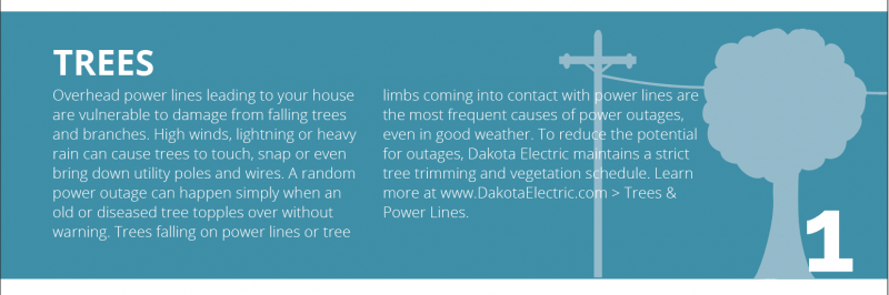 Top Four Unplanned Outage Causes in 2020 – Dakota Electric Association®