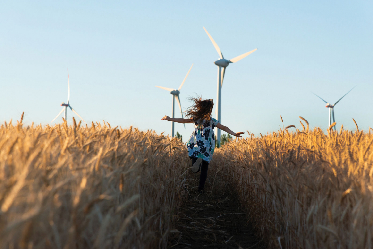 Girl-In-Wind-Field – Dakota Electric Association®