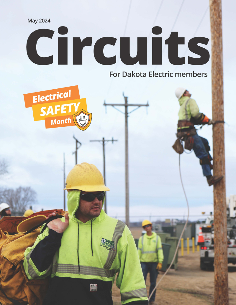 Circuits – Dakota Electric Association®
