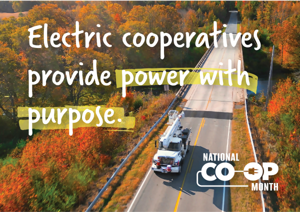 Powered by Purpose – Dakota Electric Association®